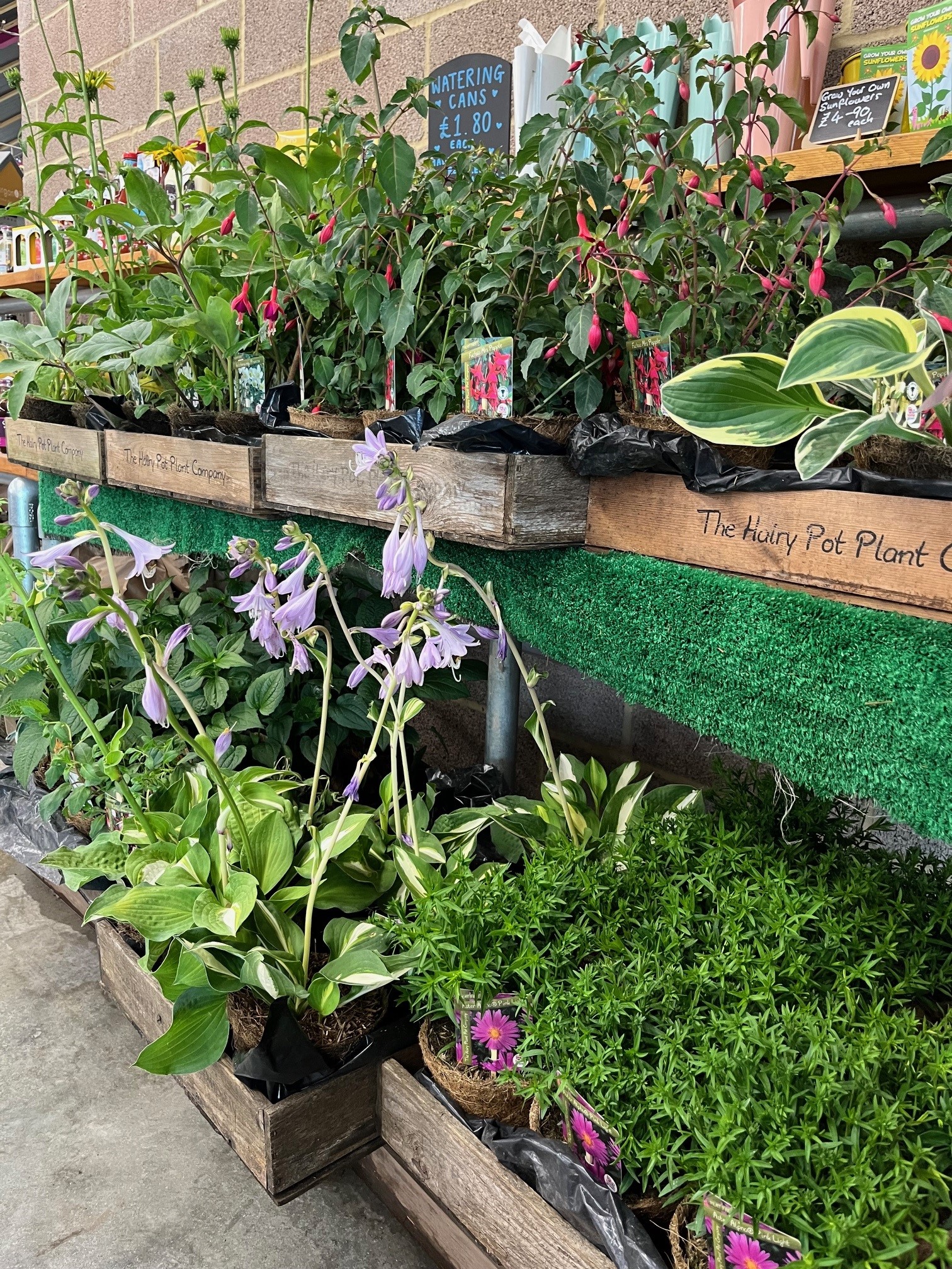 Sunnyfields Farm - Farm Shop & Pumpkin Time Event